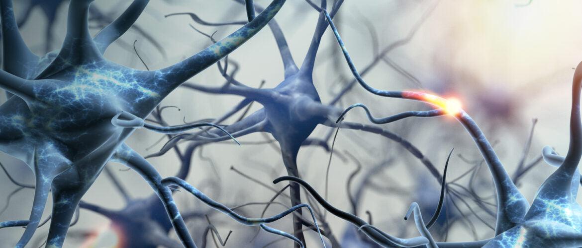 Comprehensive Guide to Vagus Nerve Stimulation: Applications & Benefits ...